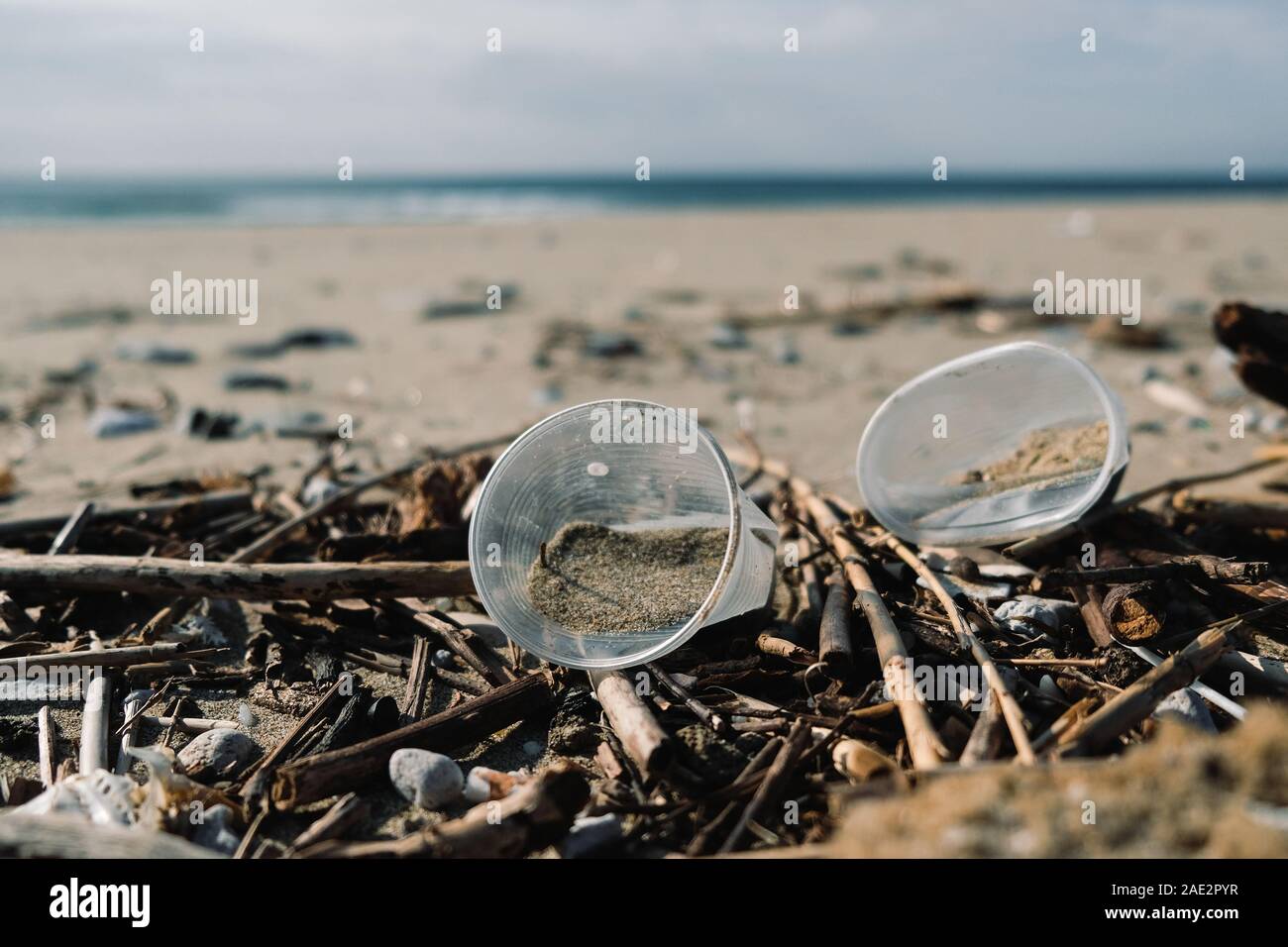 Plastic glass on sandy sea coast ecosystem,pollution free planet save ...