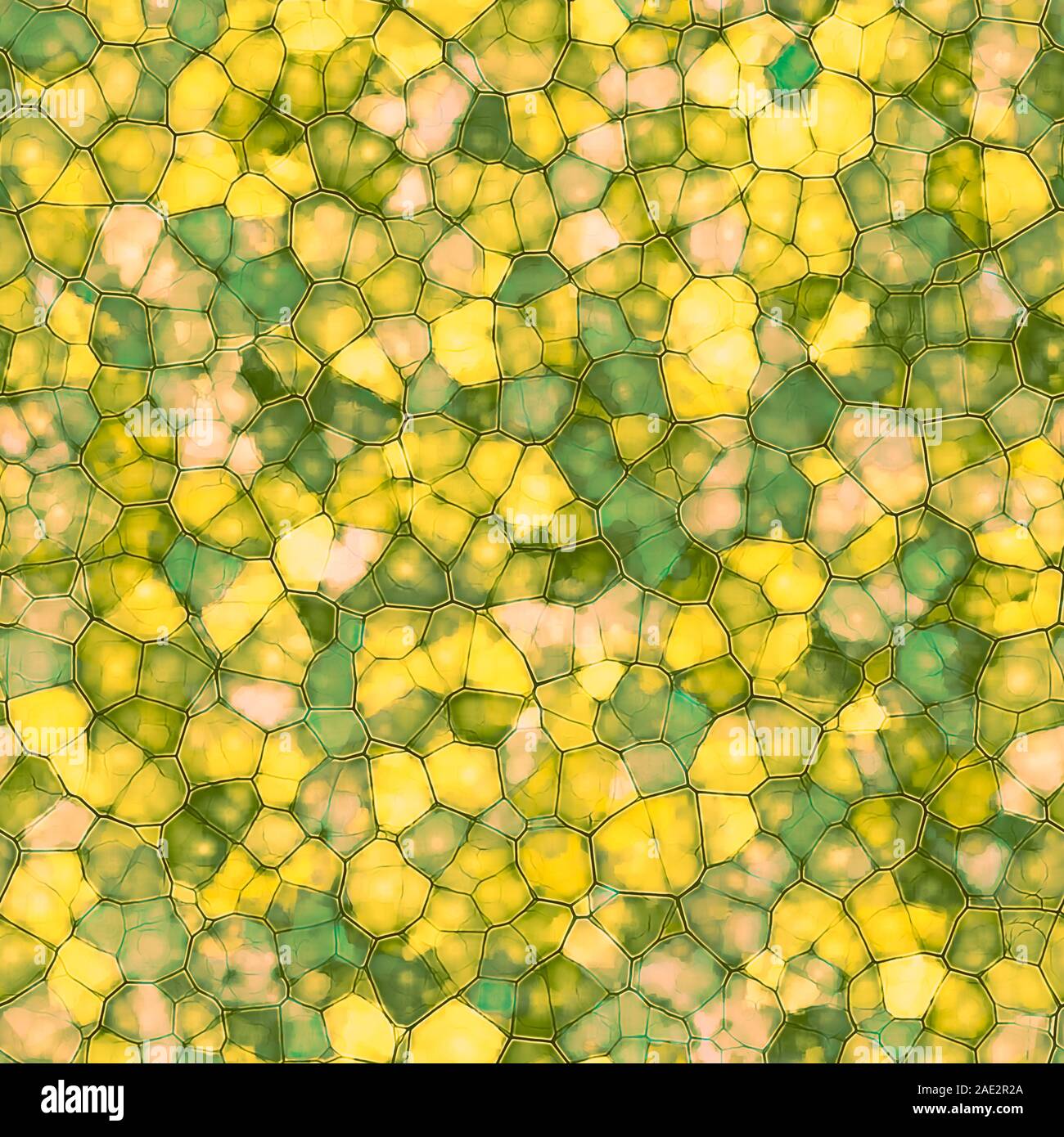 Abstract seamless background of colorful spots like paving stones or ...