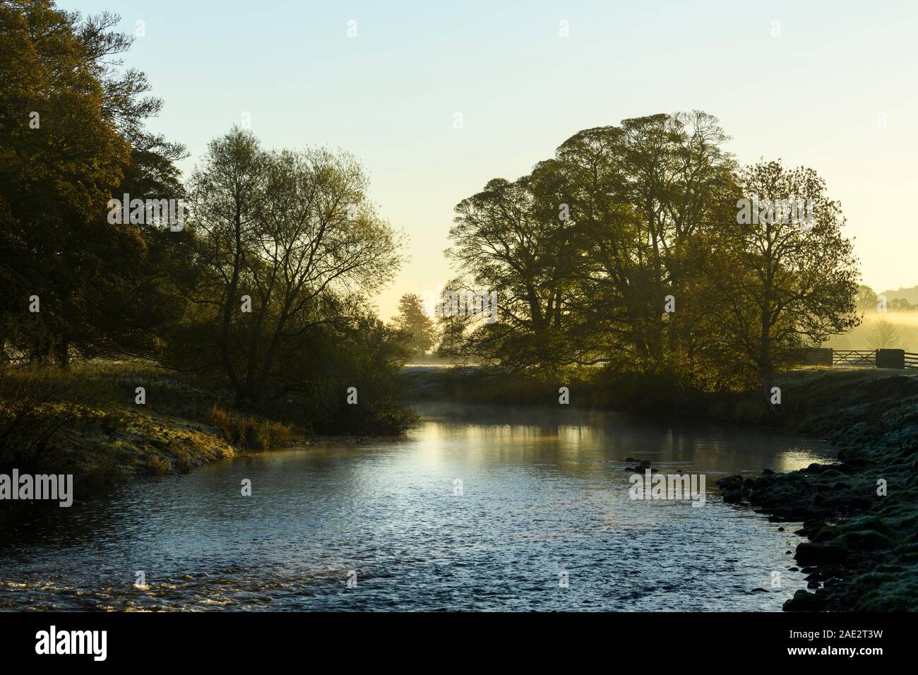 Cold early morning sunrise in scenic countryside, mist lying over ...