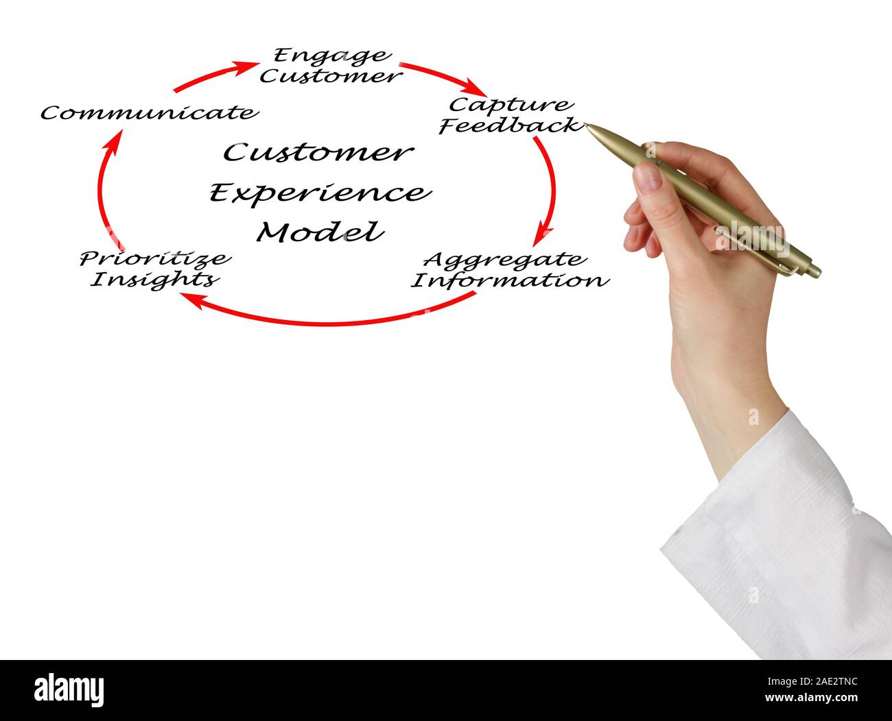 Diagram of Customer Experience Model Stock Photo - Alamy