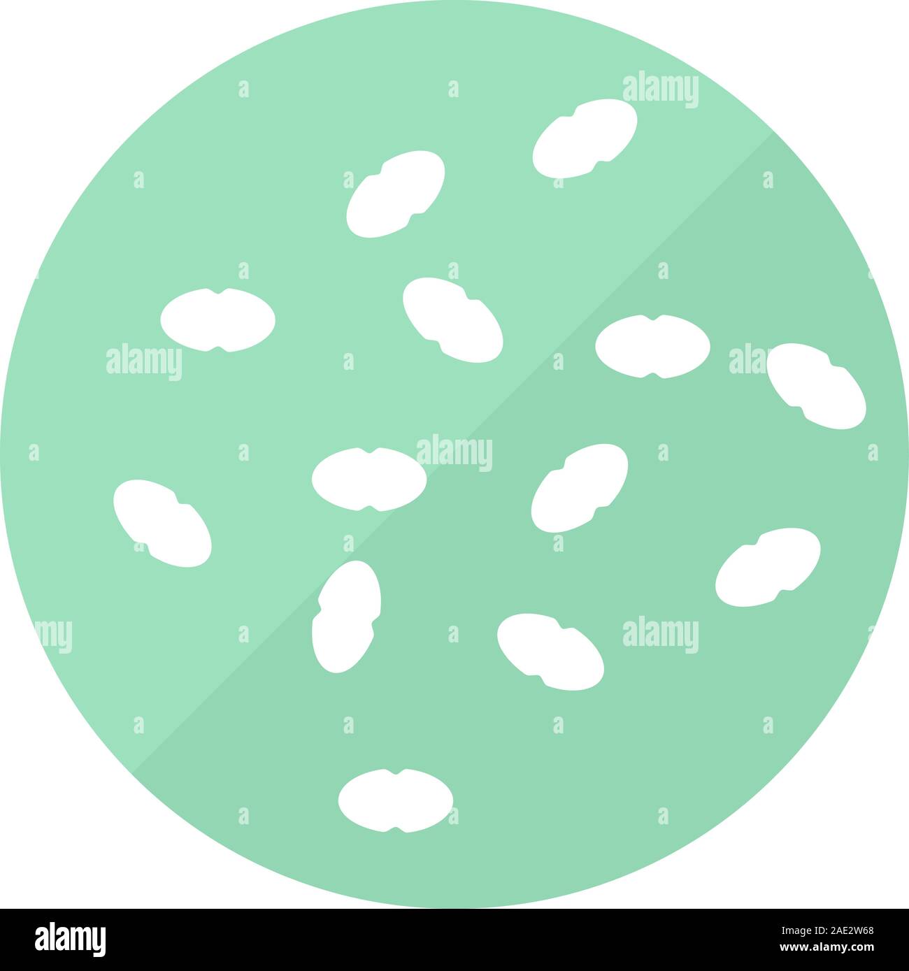 Enterococcus faecalis bad gutbacteria vector icon Stock Vector Image ...