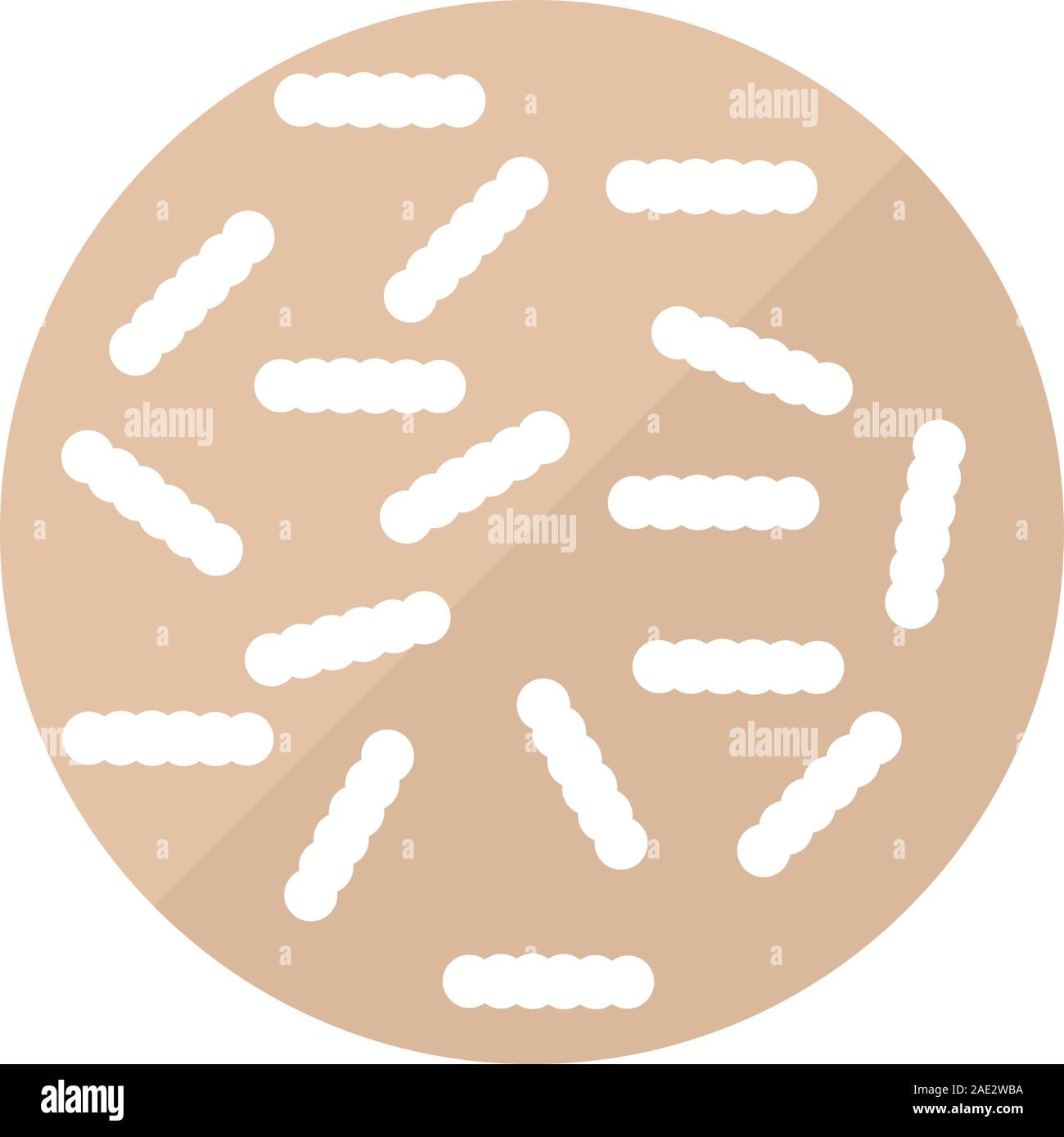 Clostridium difficile bad gutbacteria vector icon Stock Vector Image ...