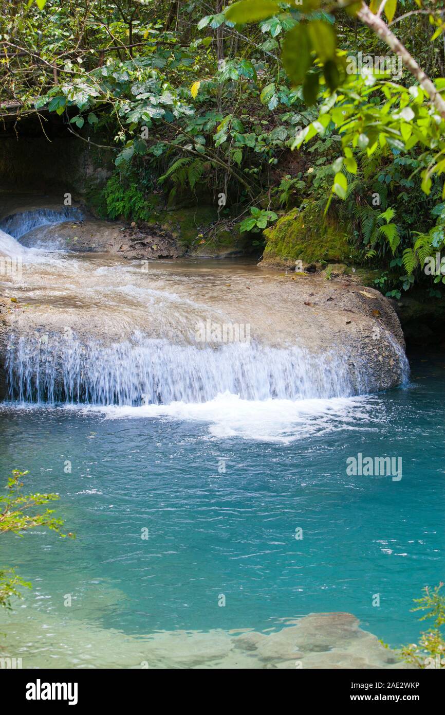 Small waterfalls in the jungle in park Soroa. Cuba Stock Photo - Alamy