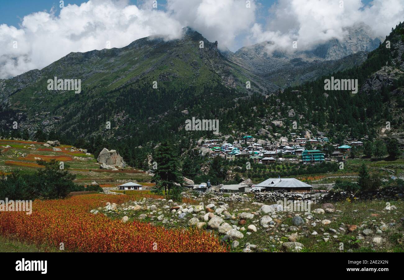 Rackham village surrounded by pine trees and flanked by Himalayan peaks ...