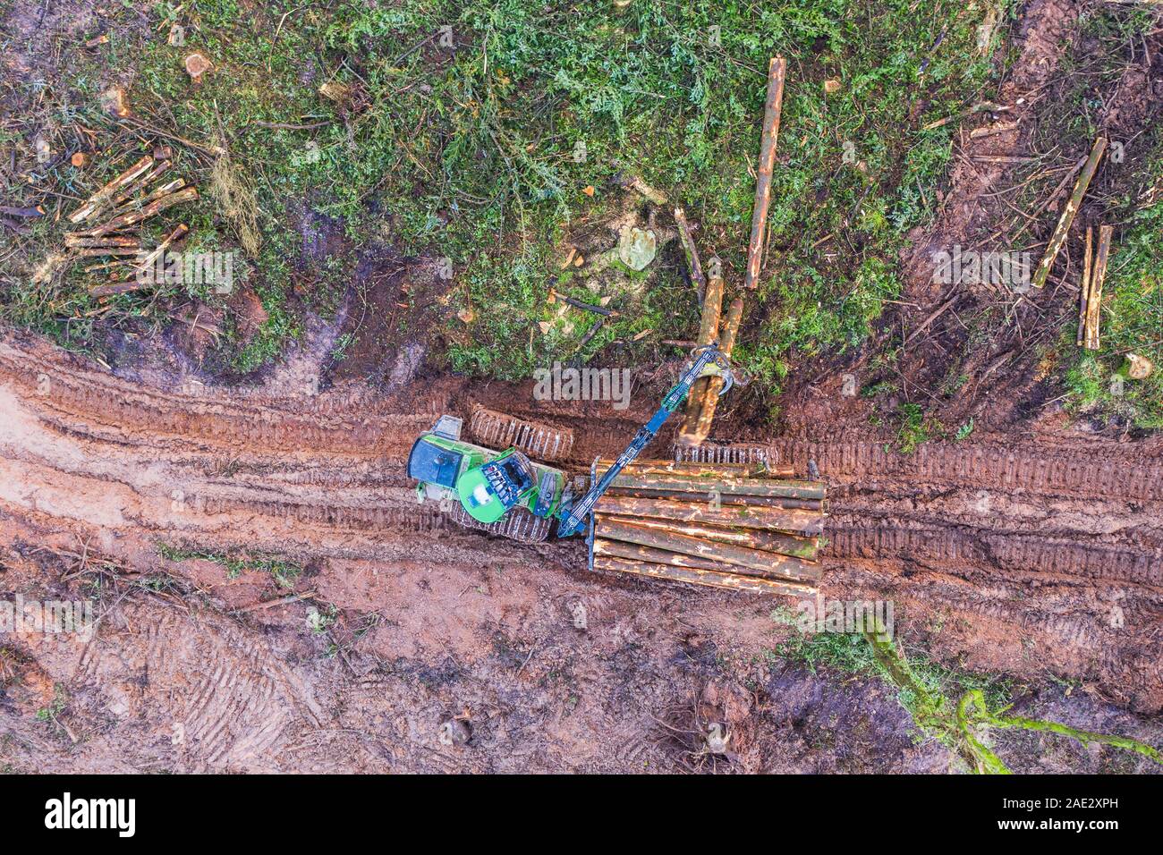 Aerial view of commercial logging. Trailer with logs driving through ...