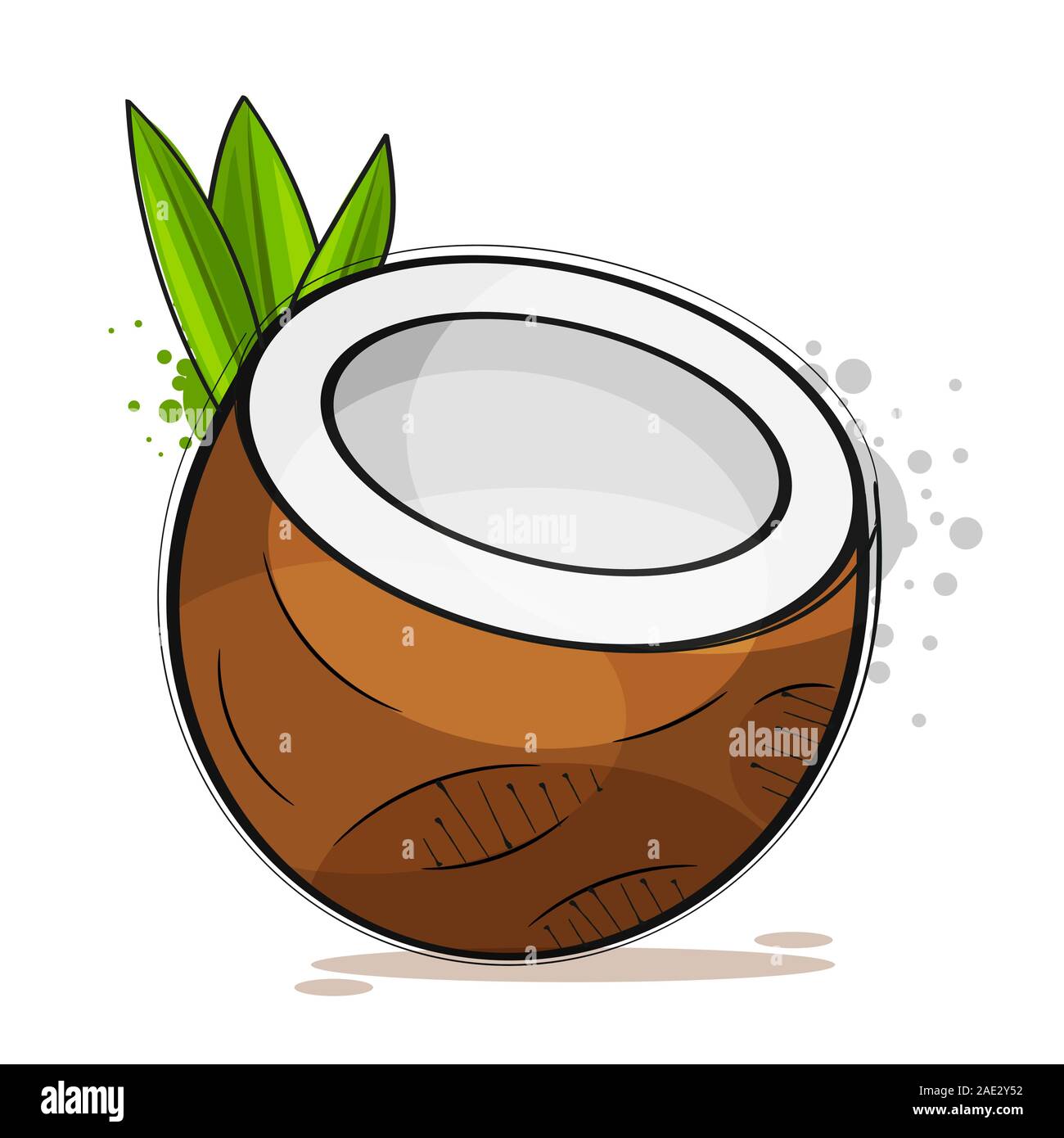 Coconut . Vector On White Background. Suitable For Greeting Card ...