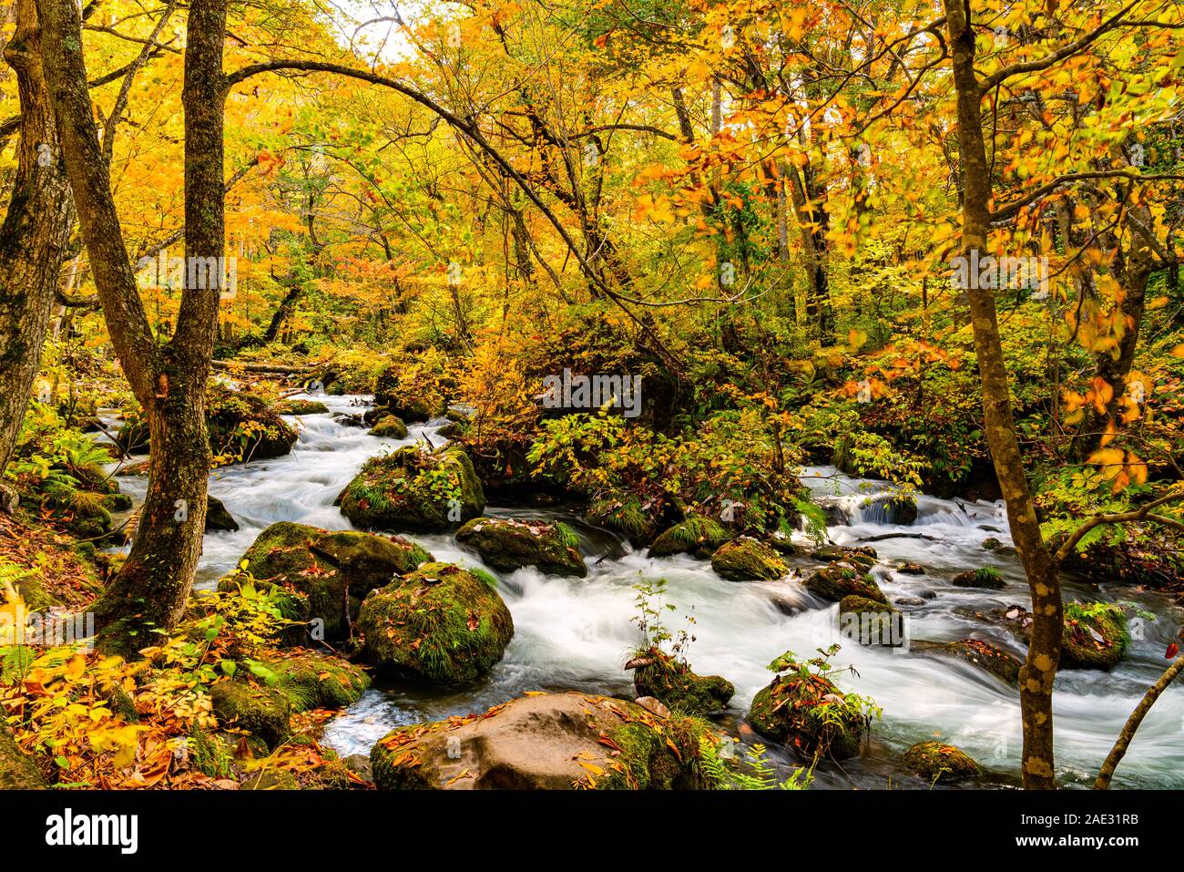 Oirase gorge, autumn hi-res stock photography and images - Alamy