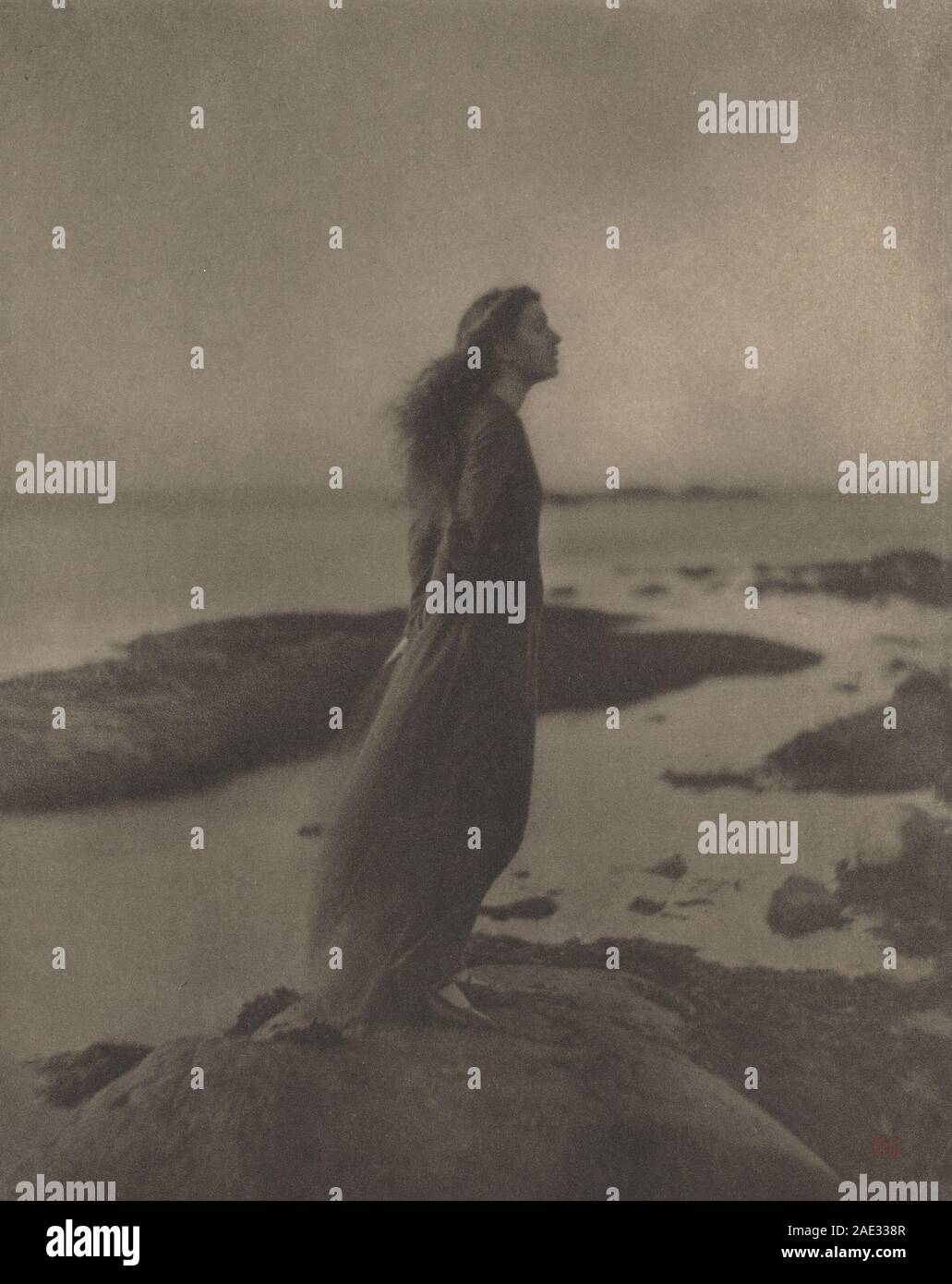 Stokes rose pastor hi-res stock photography and images - Alamy