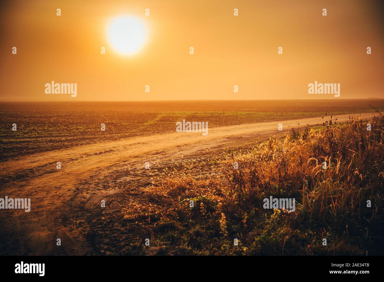Orange misty morning landscape. Autmn scenery in morning Stock Photo ...