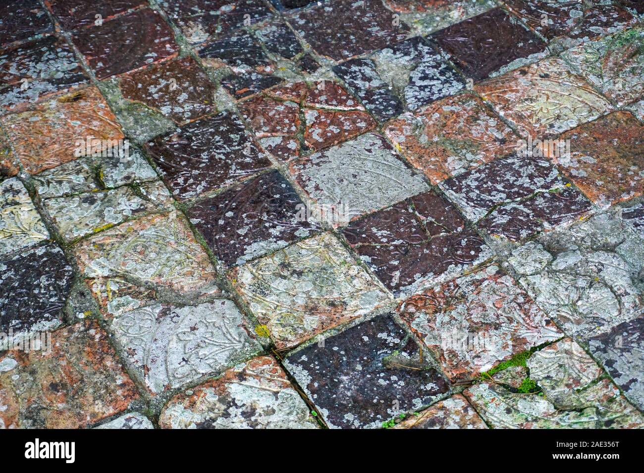Strata Florida Abbey, (Ystrad Fflur) and the Abbey Church Stock Photo ...