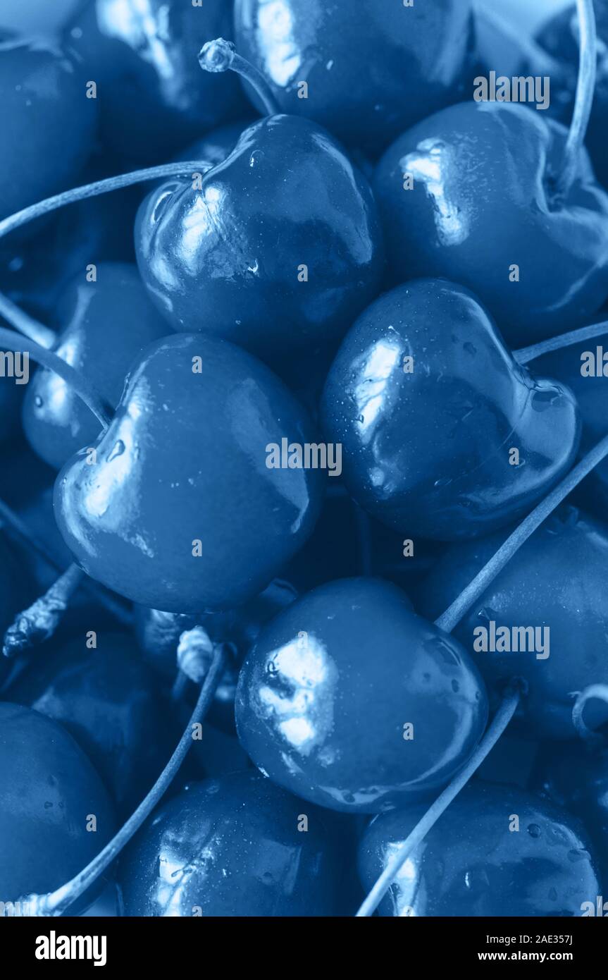 Background from cherries toned in blue color Stock Photo - Alamy