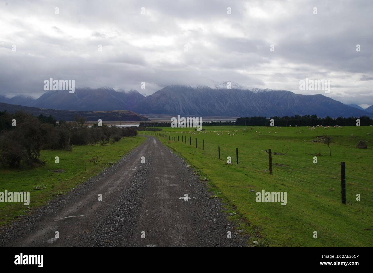 Te Araroa Trail. South Island. New Zealand Stock Photo - Alamy