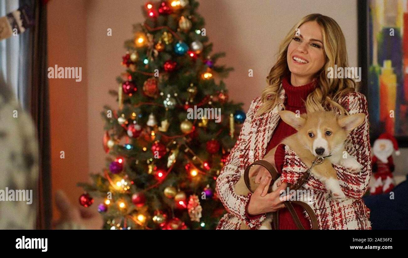 A VERY CORGI CHRISTMAS, Kelly Kruger, (aired Nov. 5, 2019). photo ...