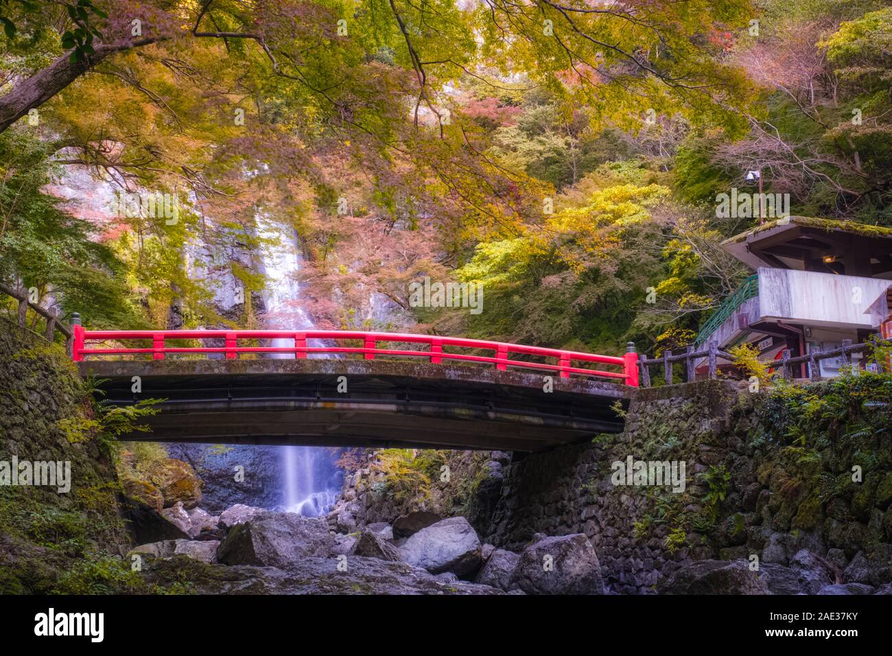 Minoo hi-res stock photography and images - Alamy