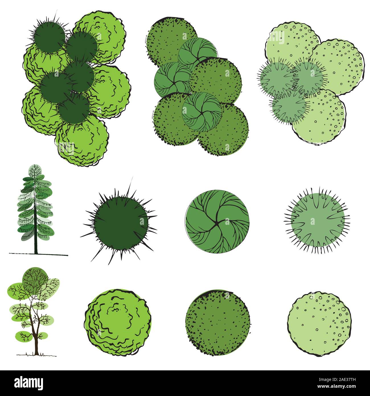 Landscape Design Tree Symbols