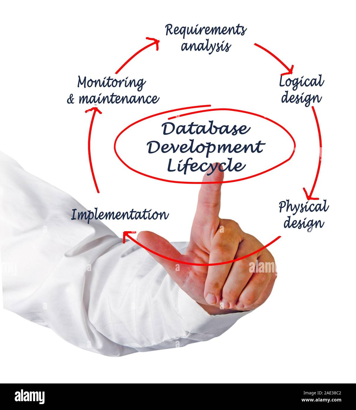 Database development lifecycle Stock Photo - Alamy