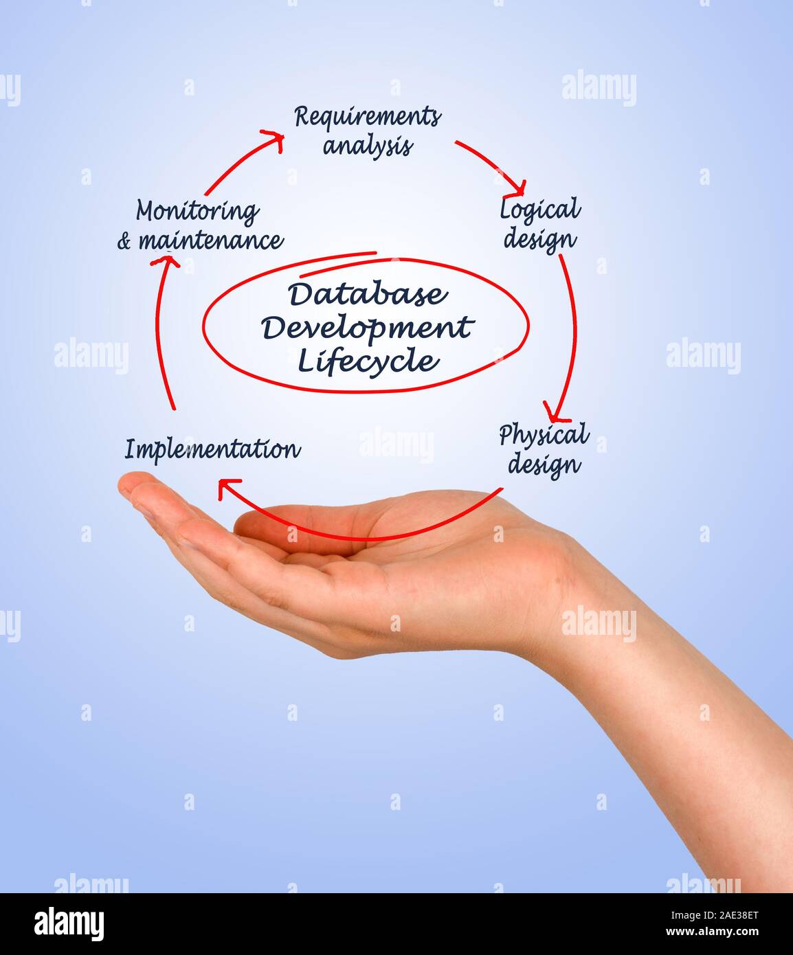 Database development lifecycle Stock Photo - Alamy