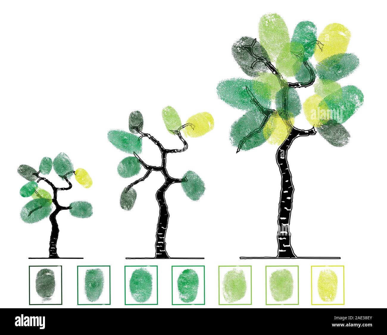 Vector tree made of fingerprints Stock Vector Image & Art - Alamy