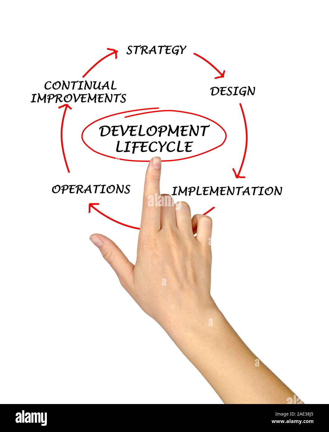 Presentation of development lifecycle Stock Photo - Alamy