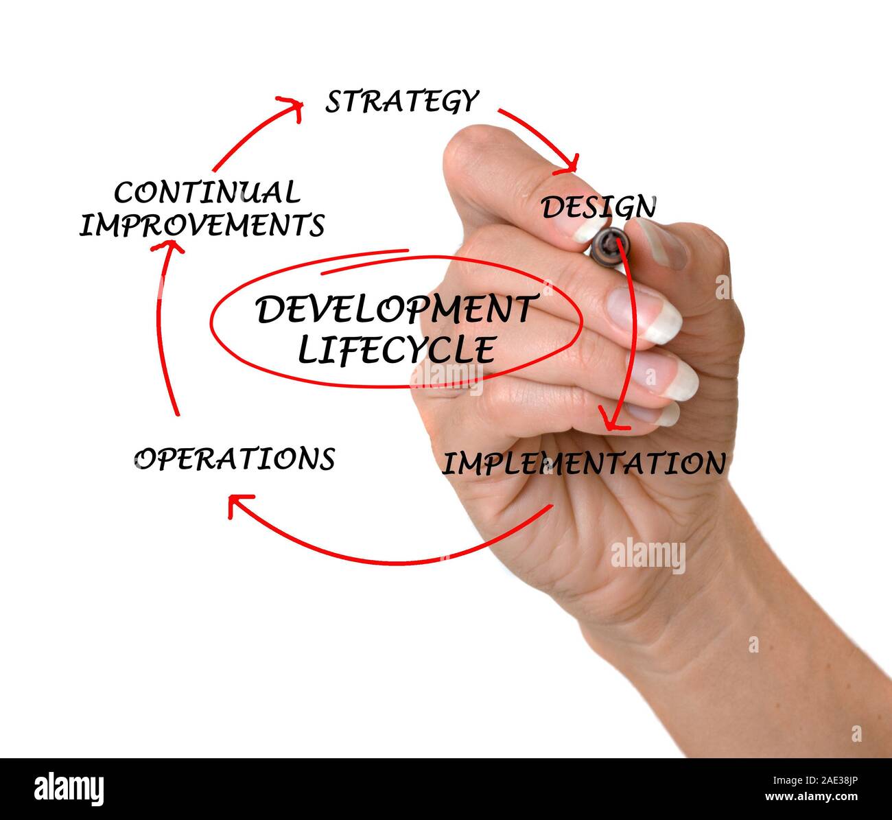 Presentation of development lifecycle Stock Photo - Alamy