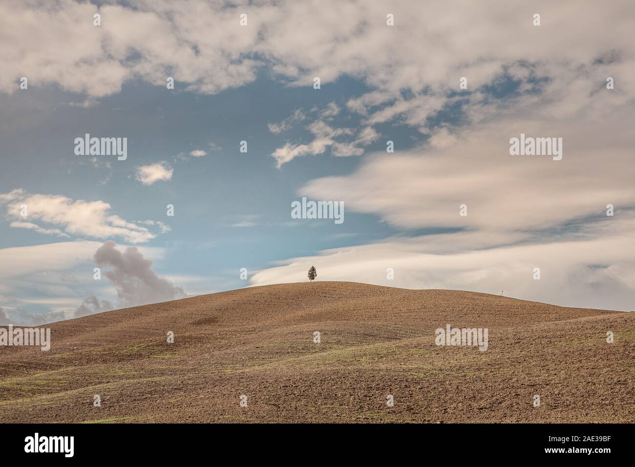 Tuscany abstract hills Landscape with one lonely tree Italy Nature ...