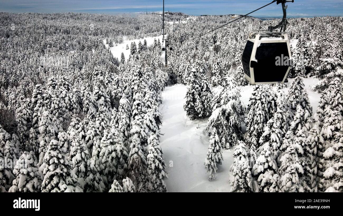 Forest of Uludag with snow capped pines trees on winter. Gondola cable ...