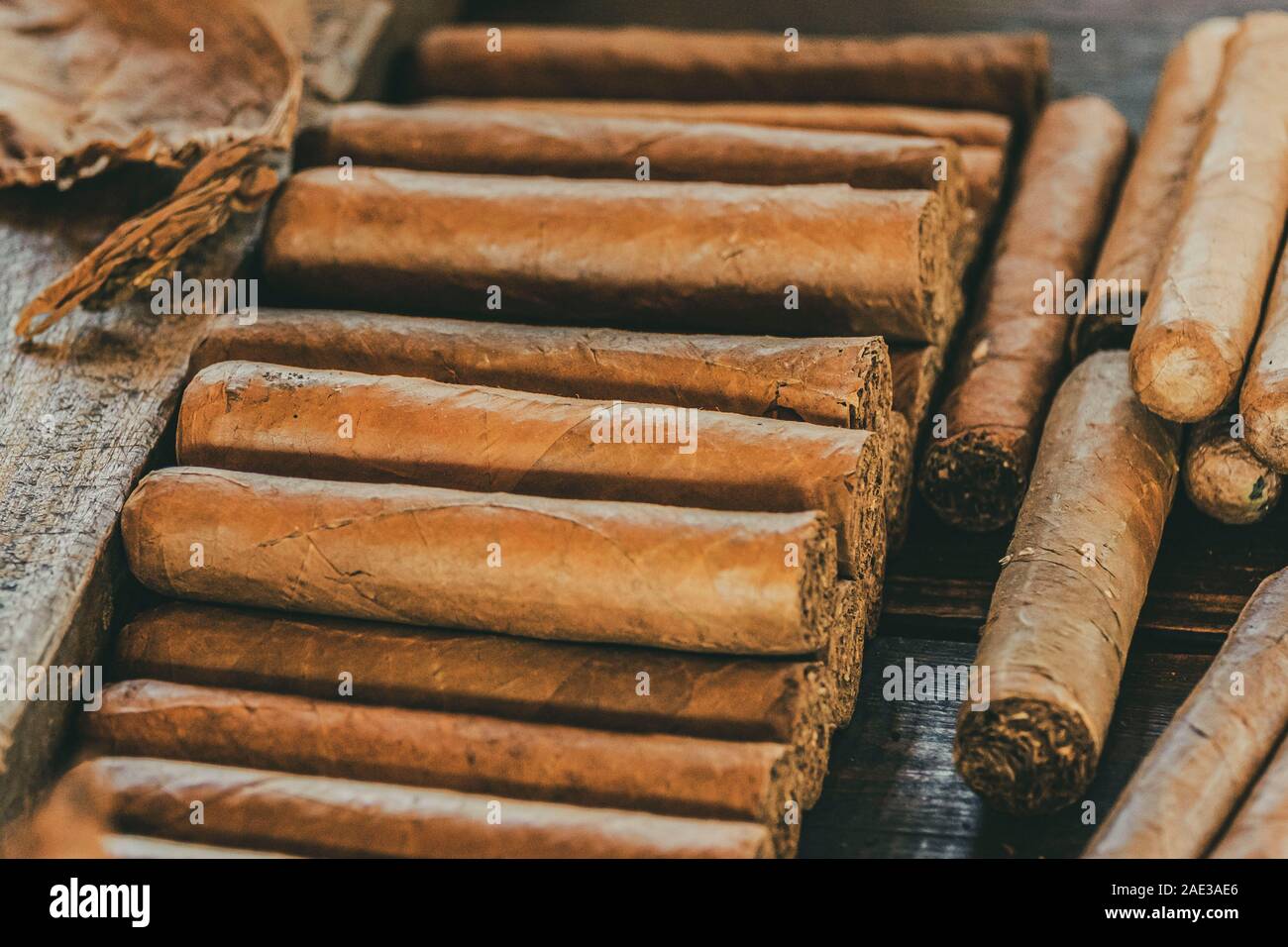 Presentation of cuban cigars in a Cuba tobacco manufacture Stock Photo ...