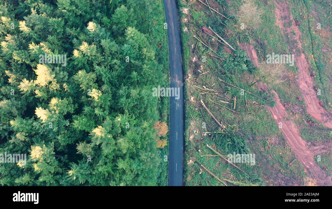 Aerial view of a road through a forest which has been destroyed by ...