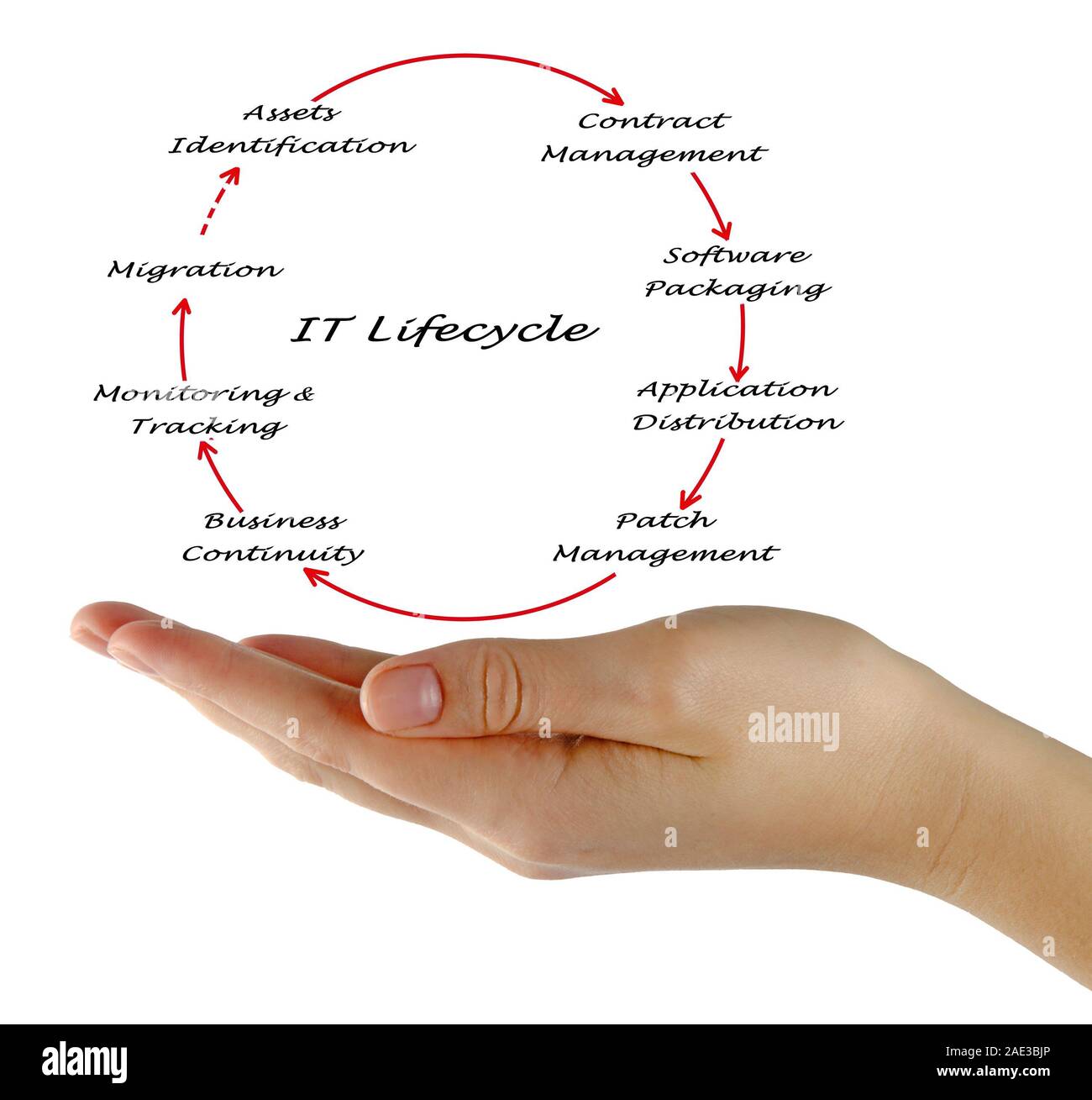 IT Lifecycle Management Stock Photo - Alamy