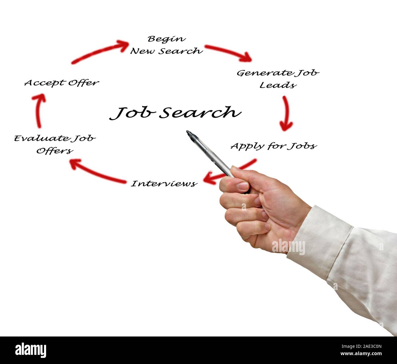 Diagram of job search Stock Photo - Alamy