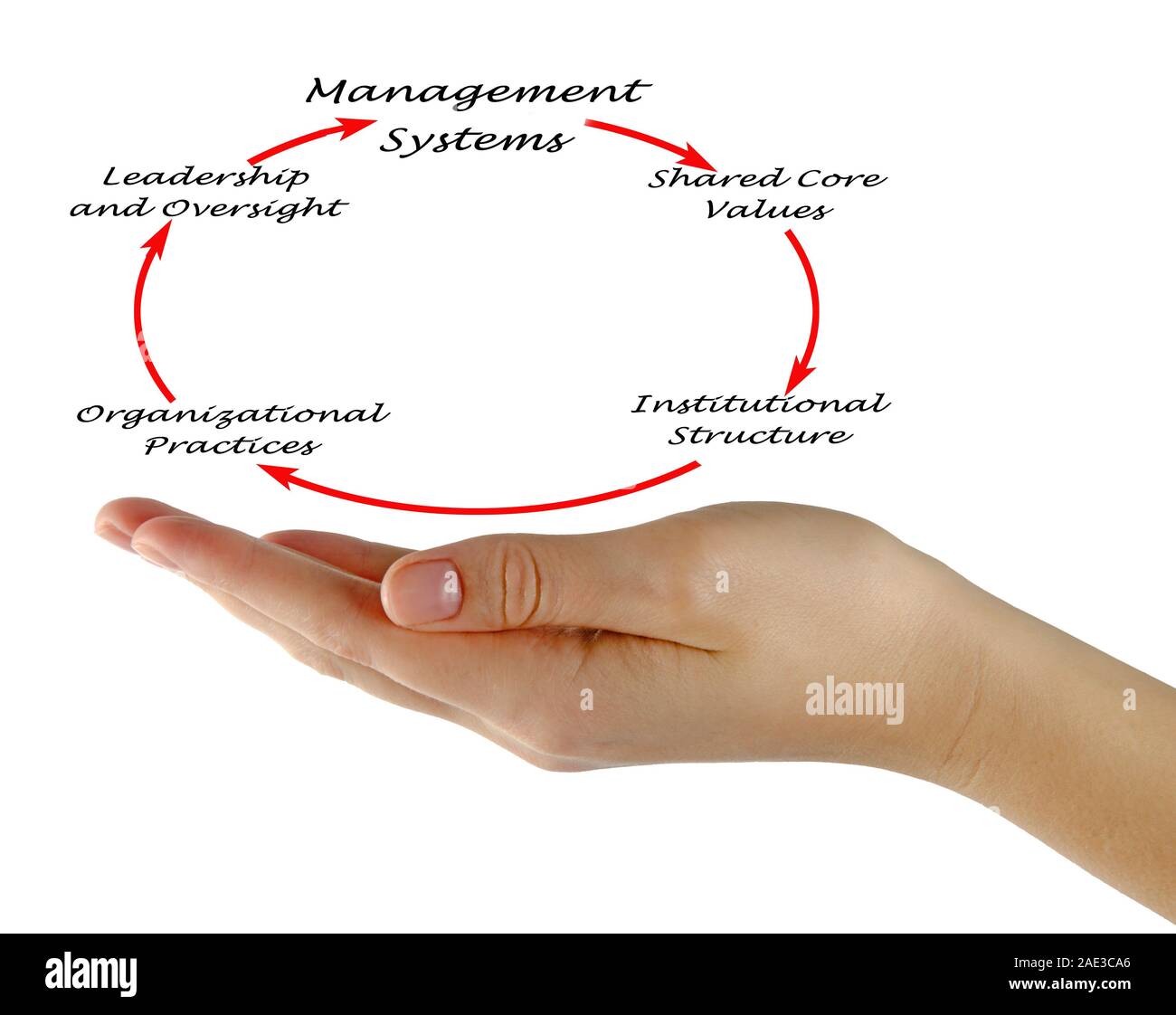 Organizational systems hi-res stock photography and images - Alamy