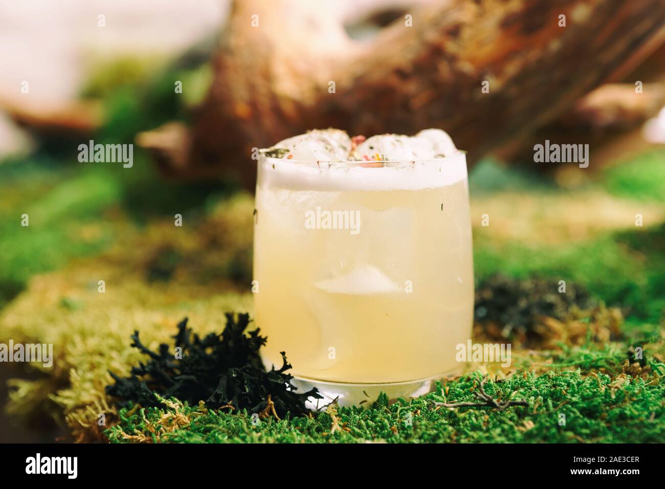 Glass of cocktail on moss, natural forest style drink, toned image ...