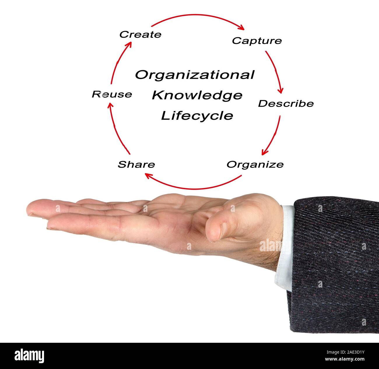 Organizational Knowledge Lifecycle Stock Photo - Alamy