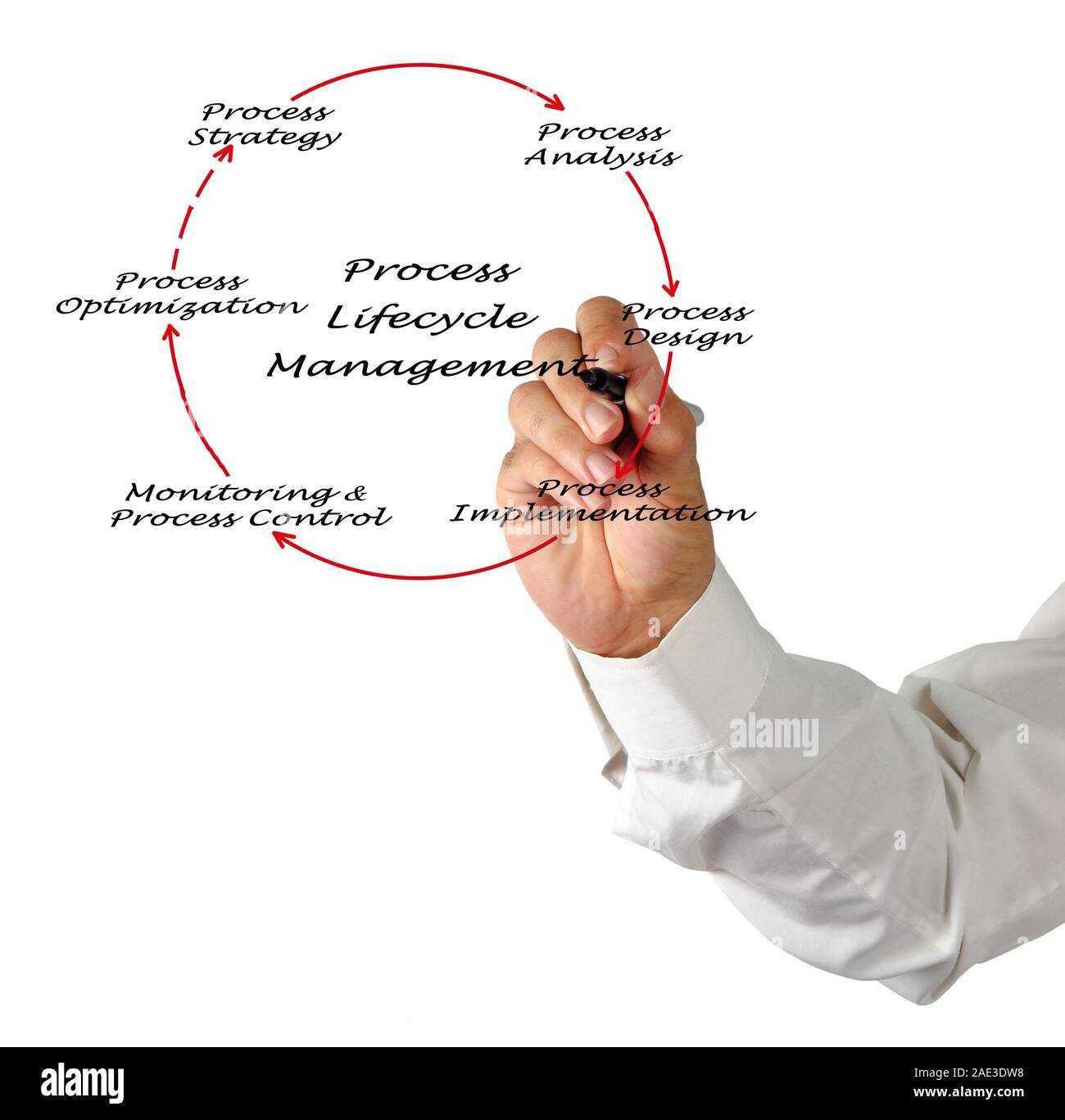 Process lifecycle hi-res stock photography and images - Alamy