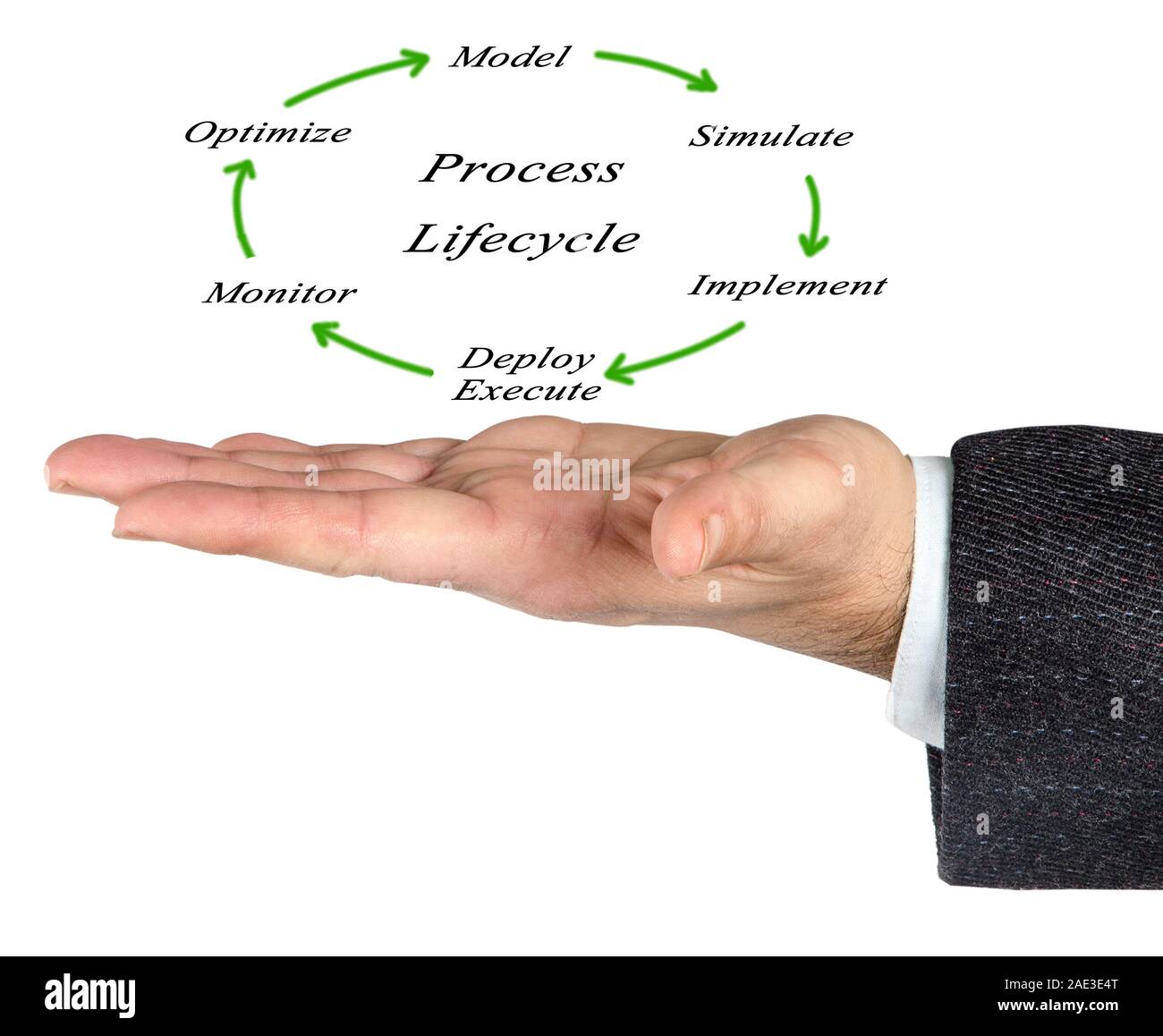 Process lifecycle hi-res stock photography and images - Alamy