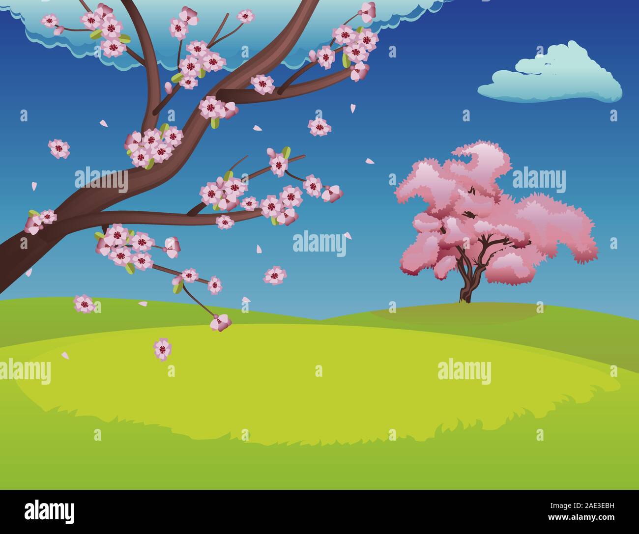 Spring background with green grass field and sakura in bloom Stock ...