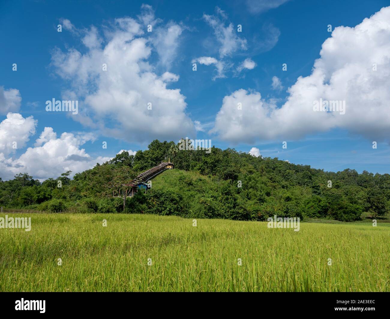 An elaborate Buddhist temple perched atop a tree filled hill and facing ...