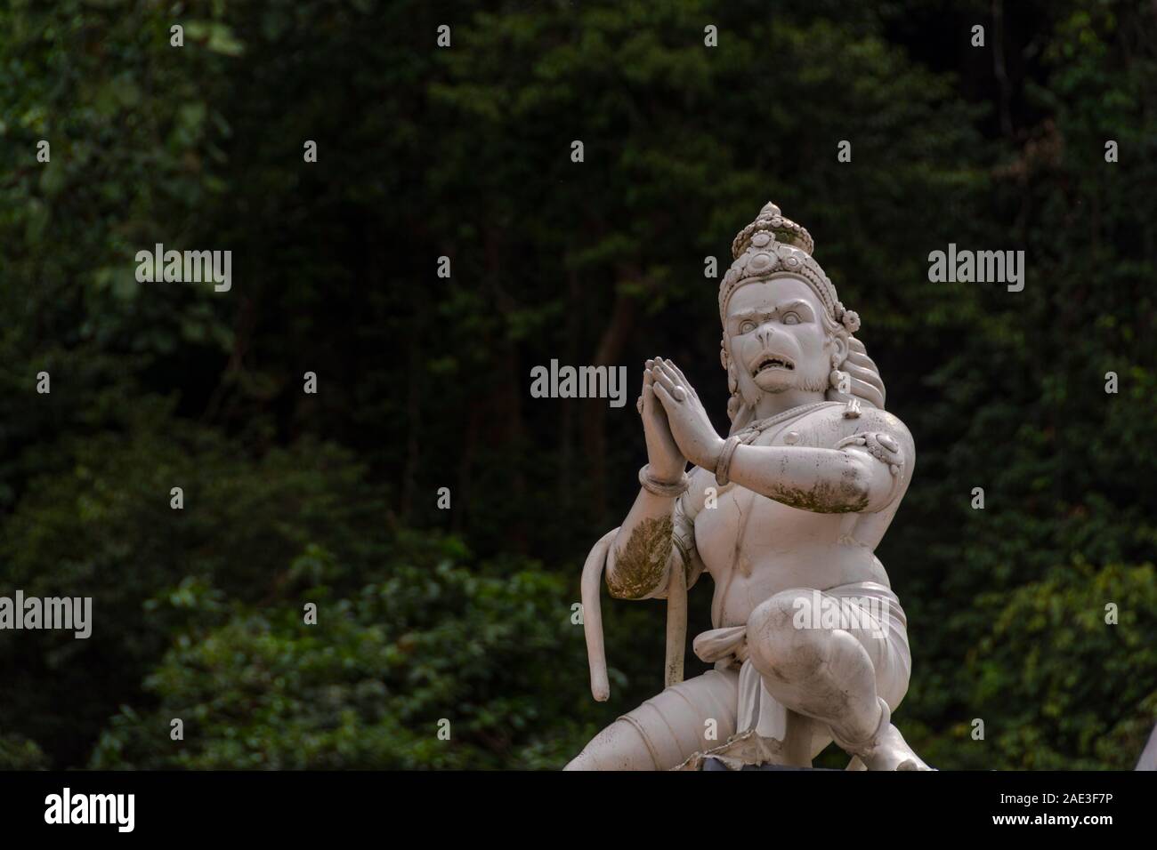 Monkey in hanuman temple hi-res stock photography and images - Alamy