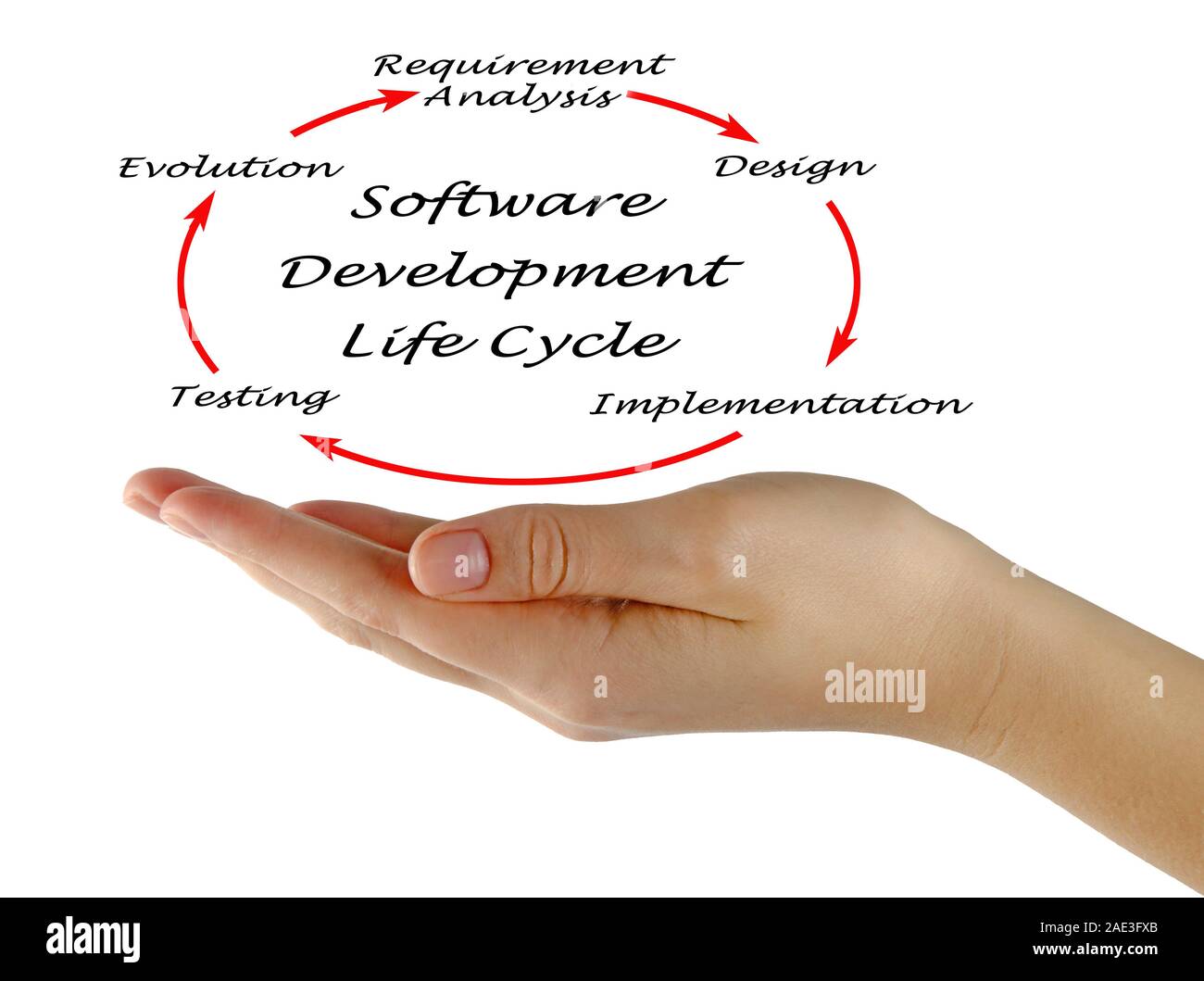 Software Development Life Cycle (SDLC Stock Photo - Alamy