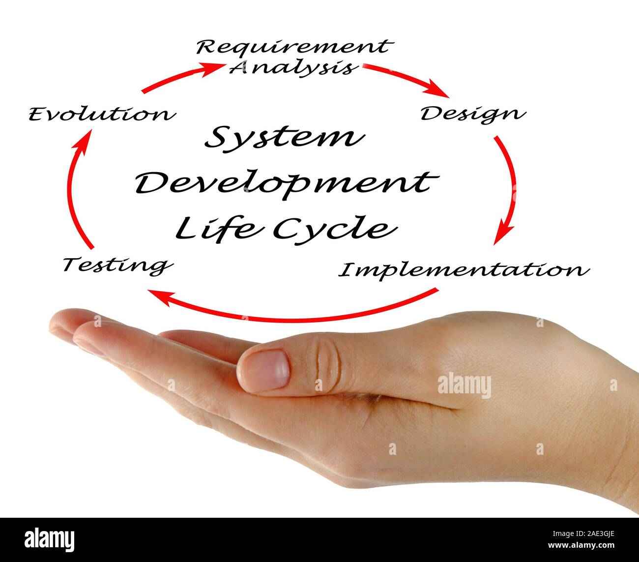 System Development Life Cycle (SDLC Stock Photo - Alamy