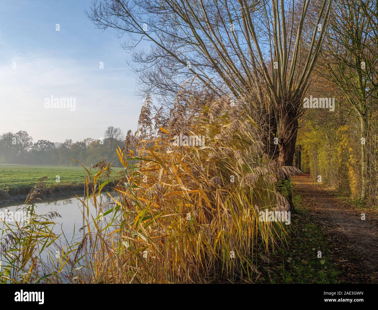 autumn at a german river Stock Photo - Alamy
