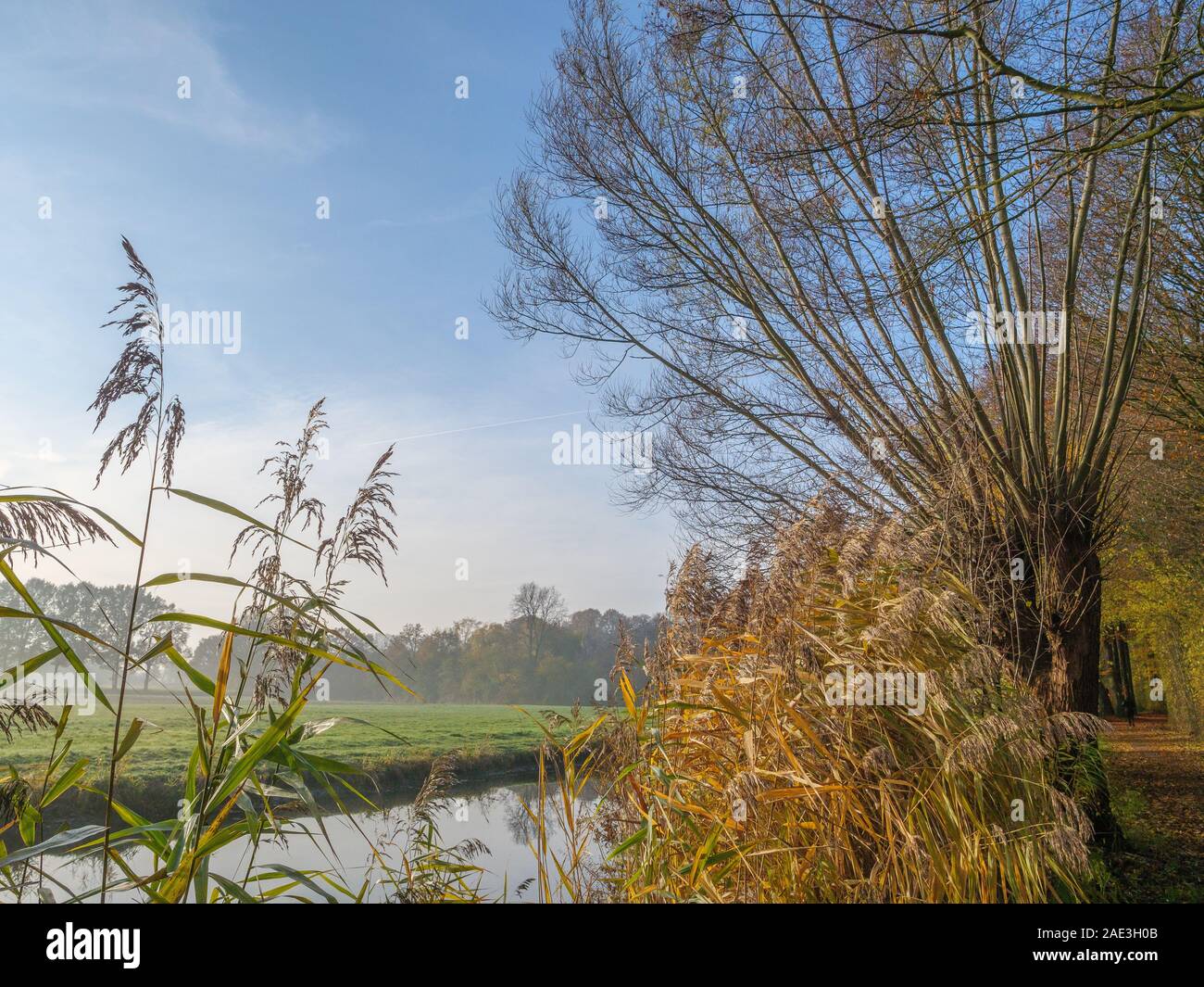 autumn at a german river Stock Photo - Alamy
