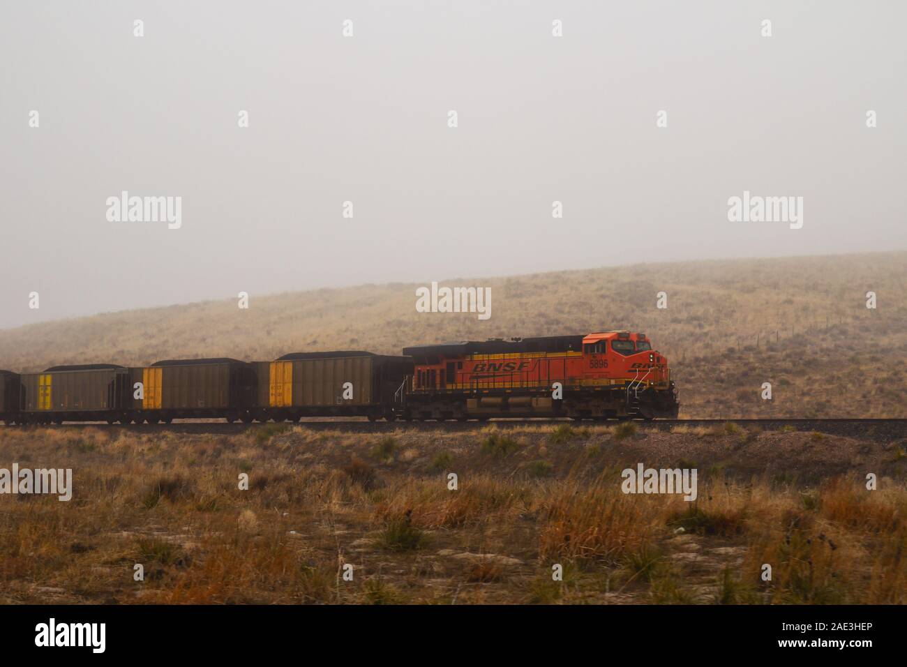 A orange train engine with attached rail cars loaded with coal moving ...
