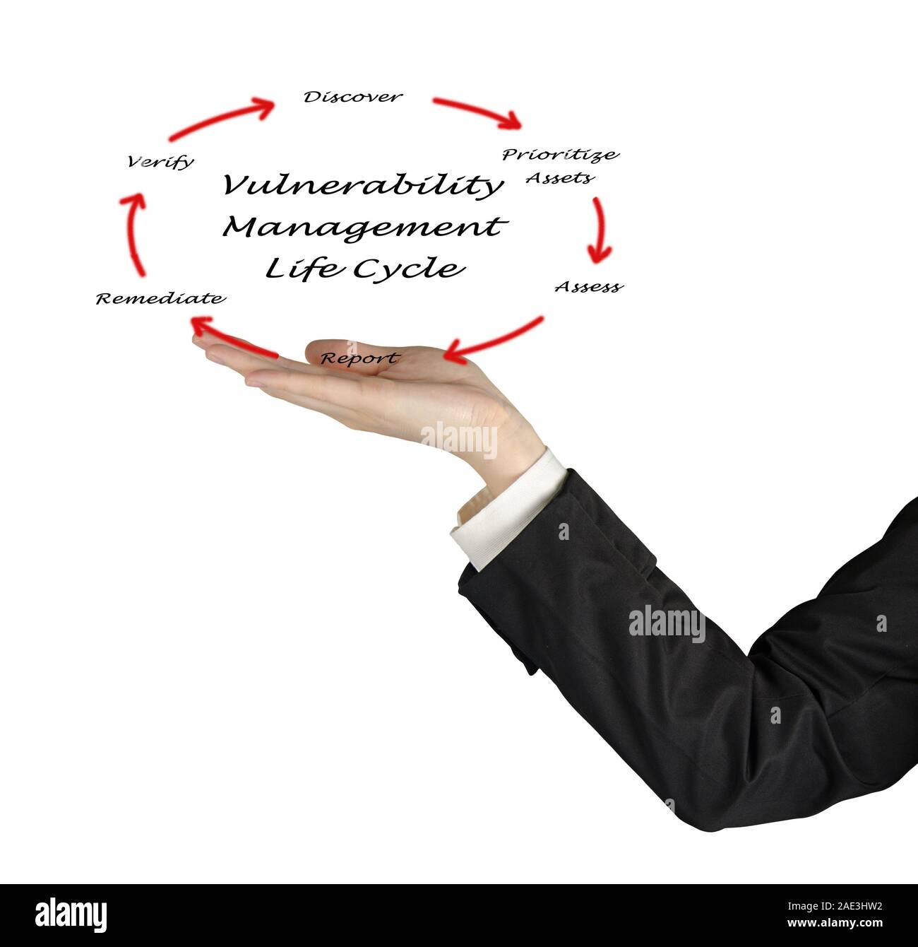 vulnerability management of life cycle Stock Photo - Alamy