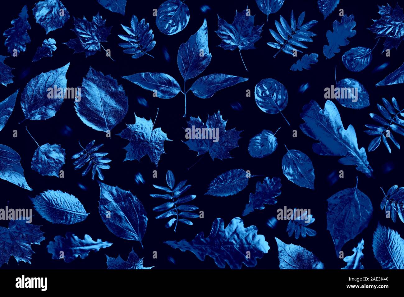 Classic Blue. Color of the Year 2020. open composition of different ...