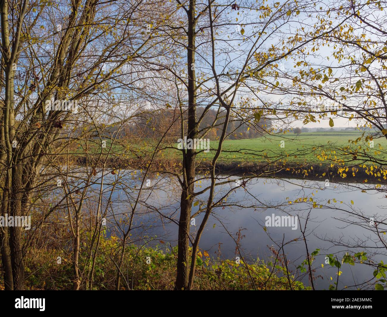autumn at the river Stock Photo - Alamy