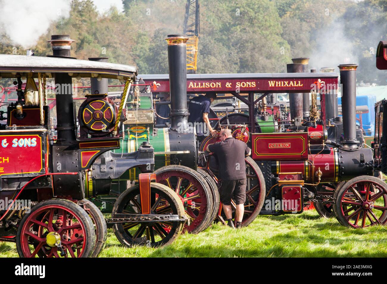 Vintage Steam and traction engines on display at the Malpas yesteryear ...