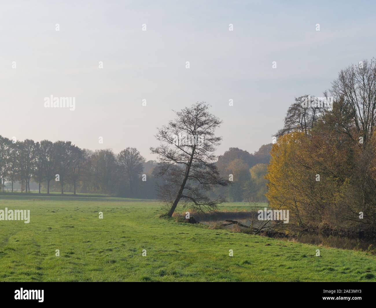 hike at a german river Stock Photo - Alamy