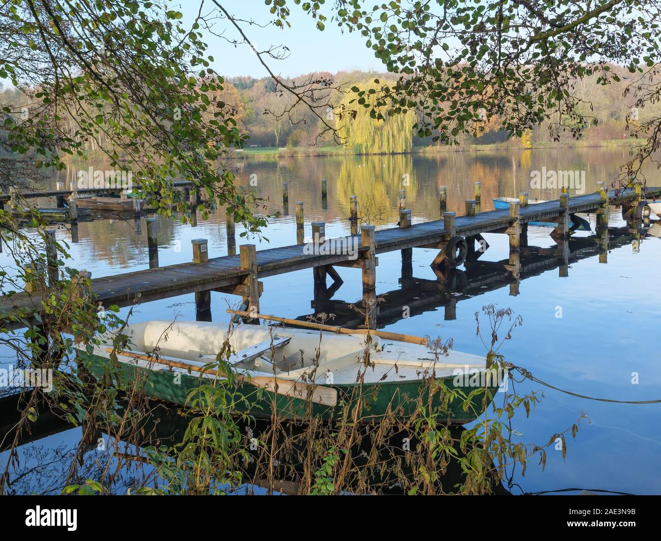 autumn at the lake Stock Photo - Alamy