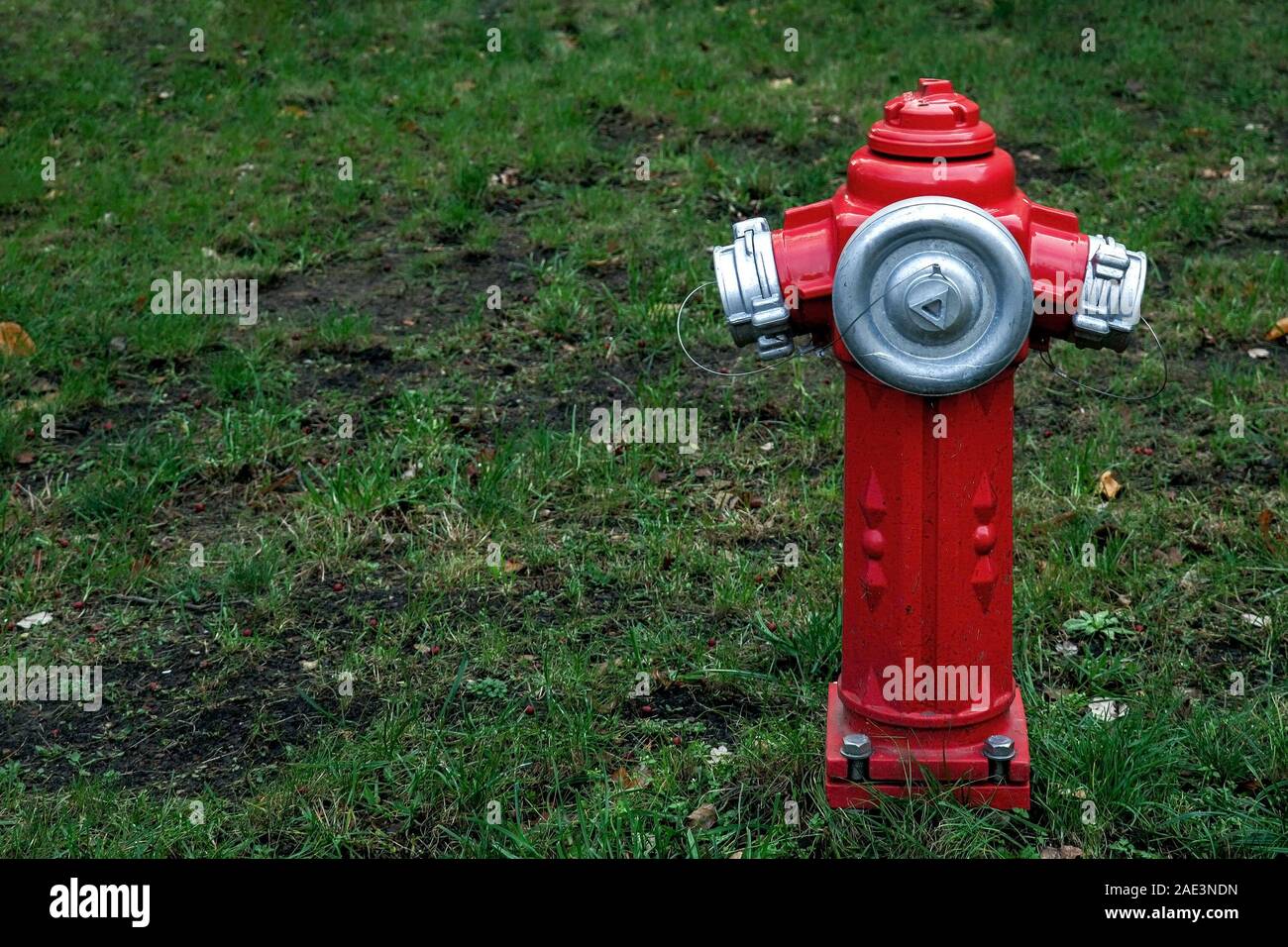 Fire hydrant on the green lawn, red fire pump on the street Stock Photo ...